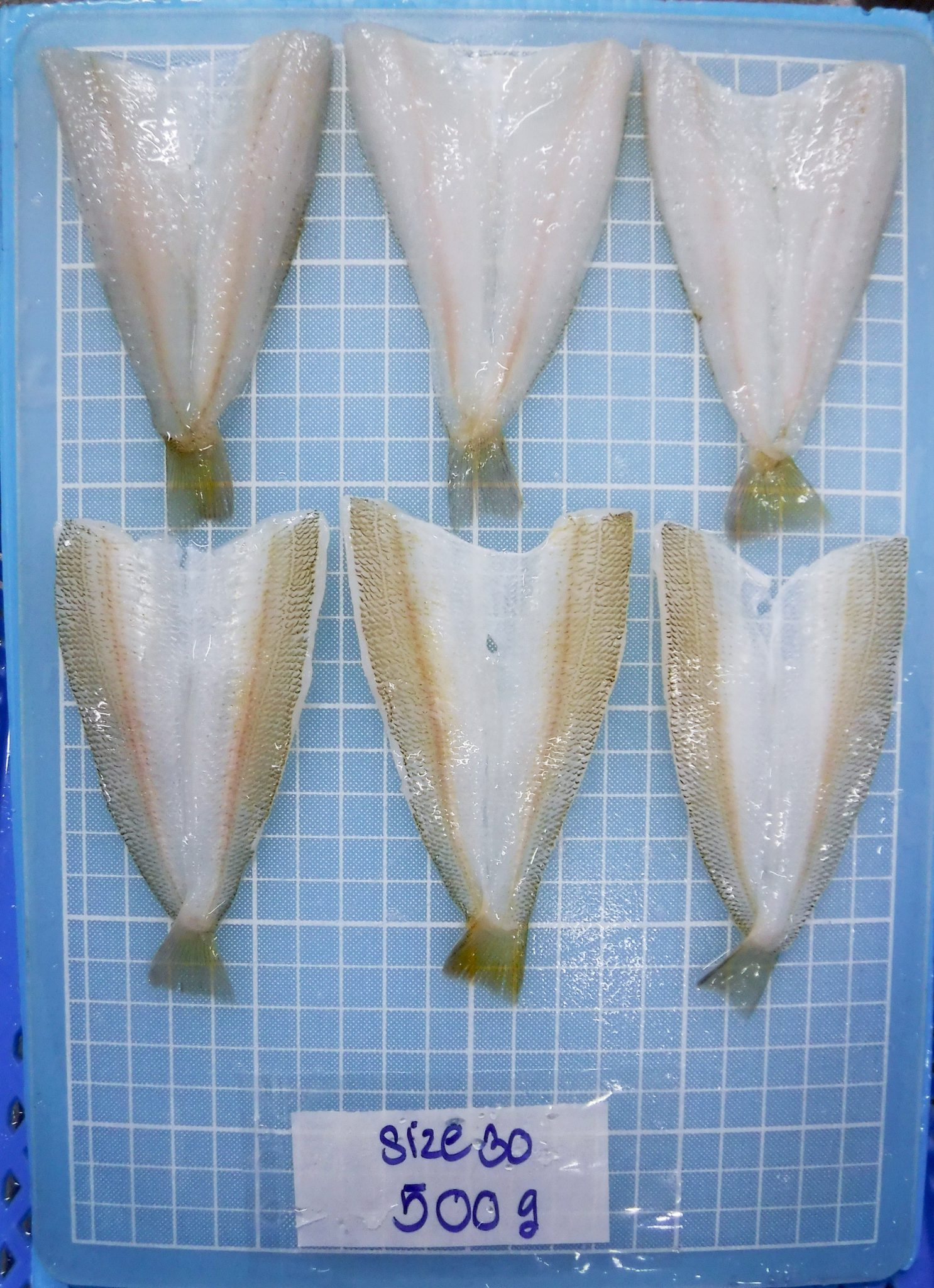 KISU HIRAKI - Ranong Frozen Foods Co.,LTD.