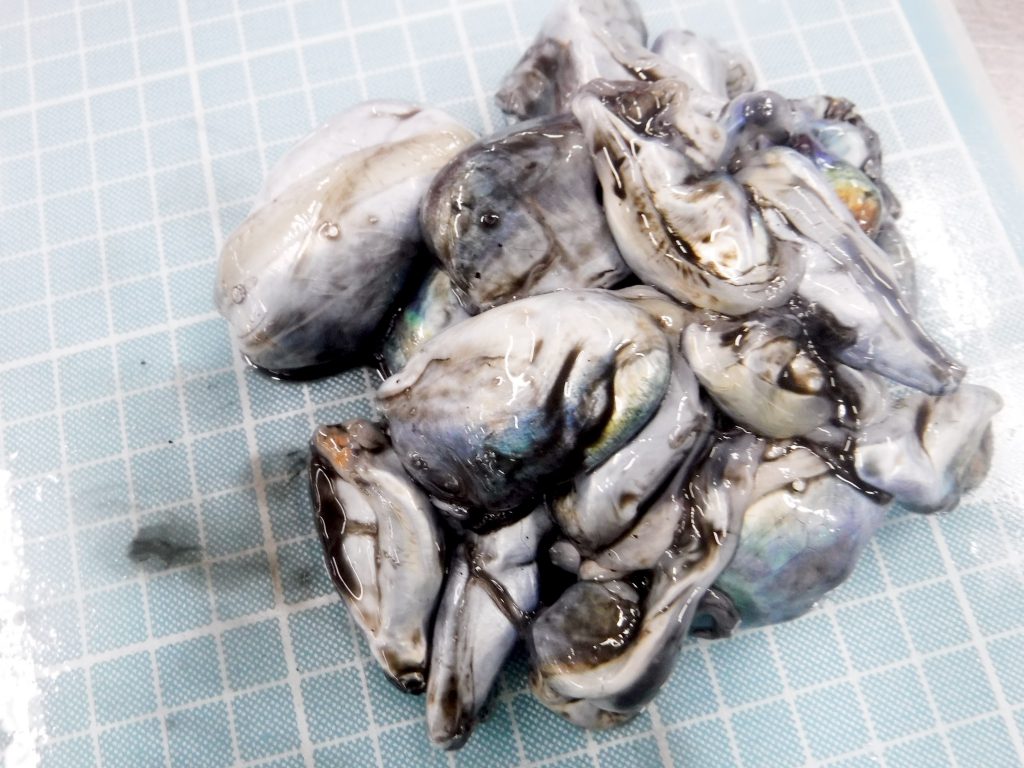 Cuttlefish Ink - Ranong Frozen Foods Co.,LTD.