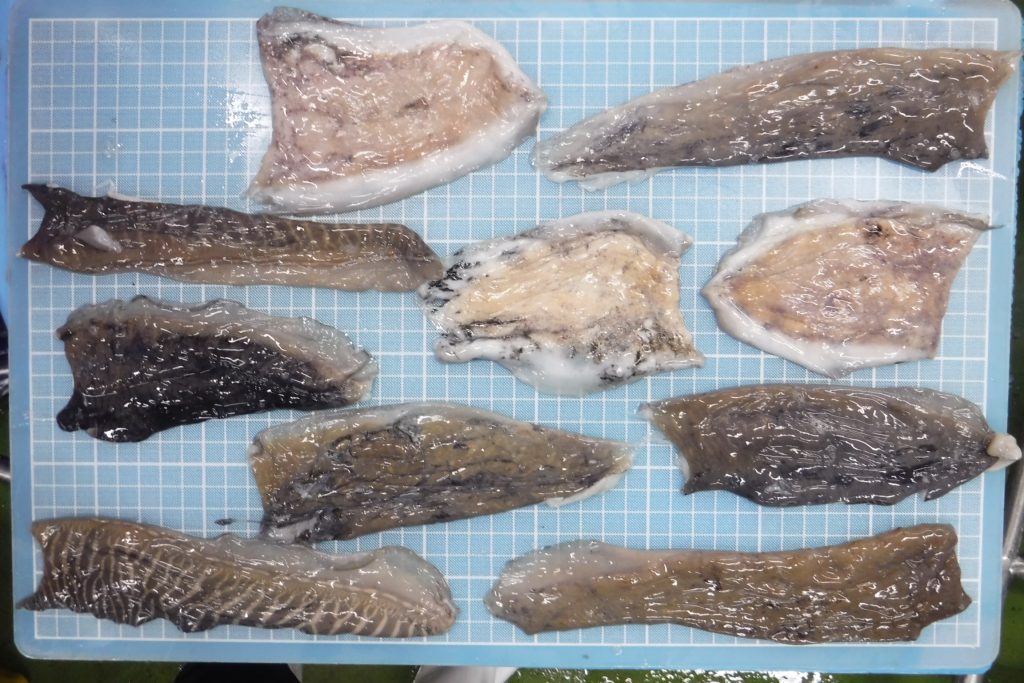 Cuttlefish Skin - Ranong Frozen Foods Co.,LTD.