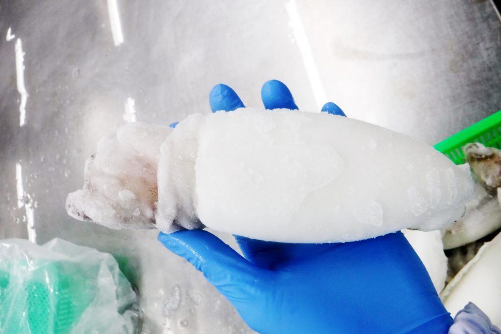 Cuttlefish Whole clean Big size - Ranong Frozen Foods Co.,LTD.