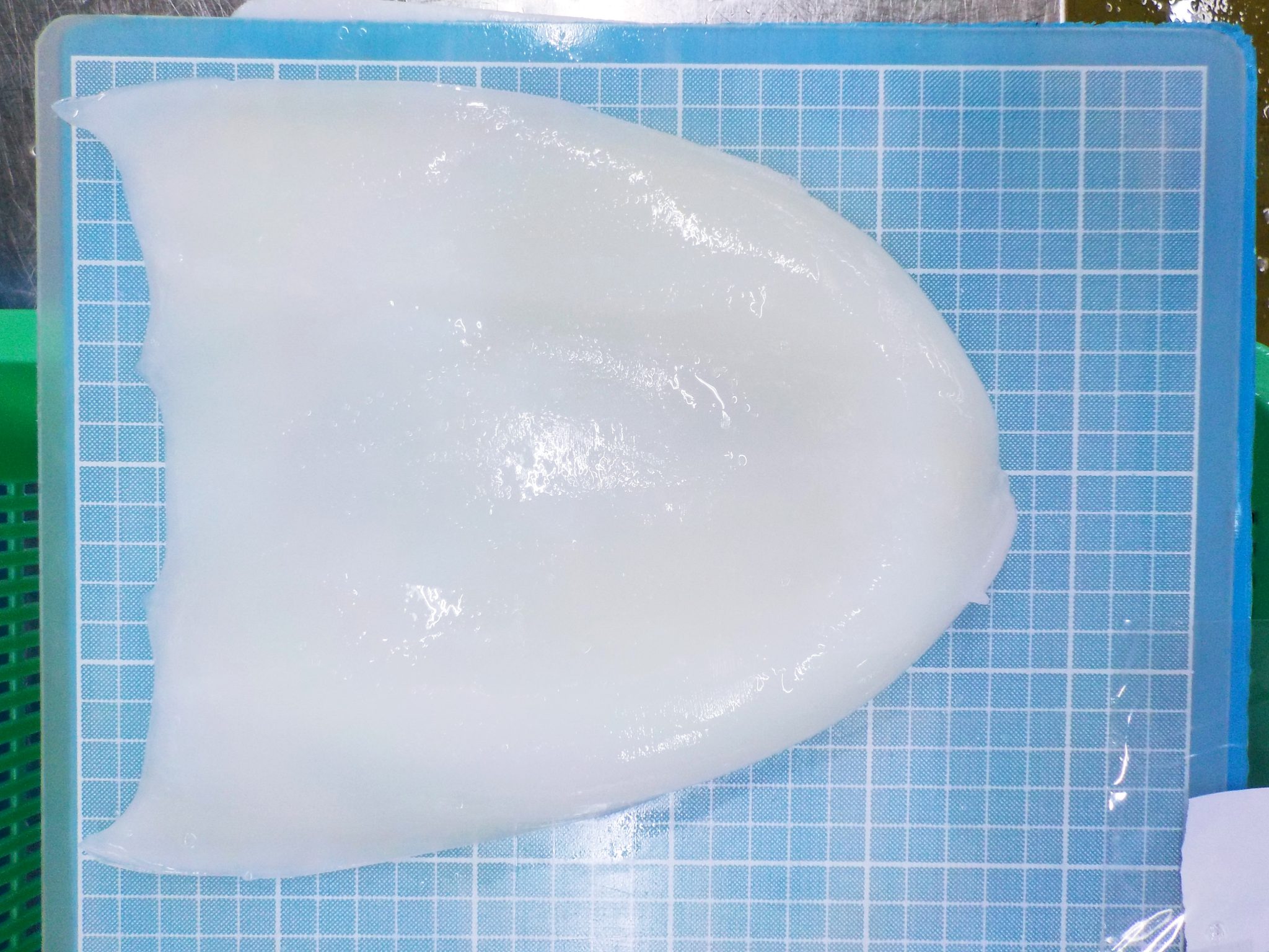 Soft Cuttlefish Fillet - Ranong Frozen Foods Co.,LTD.