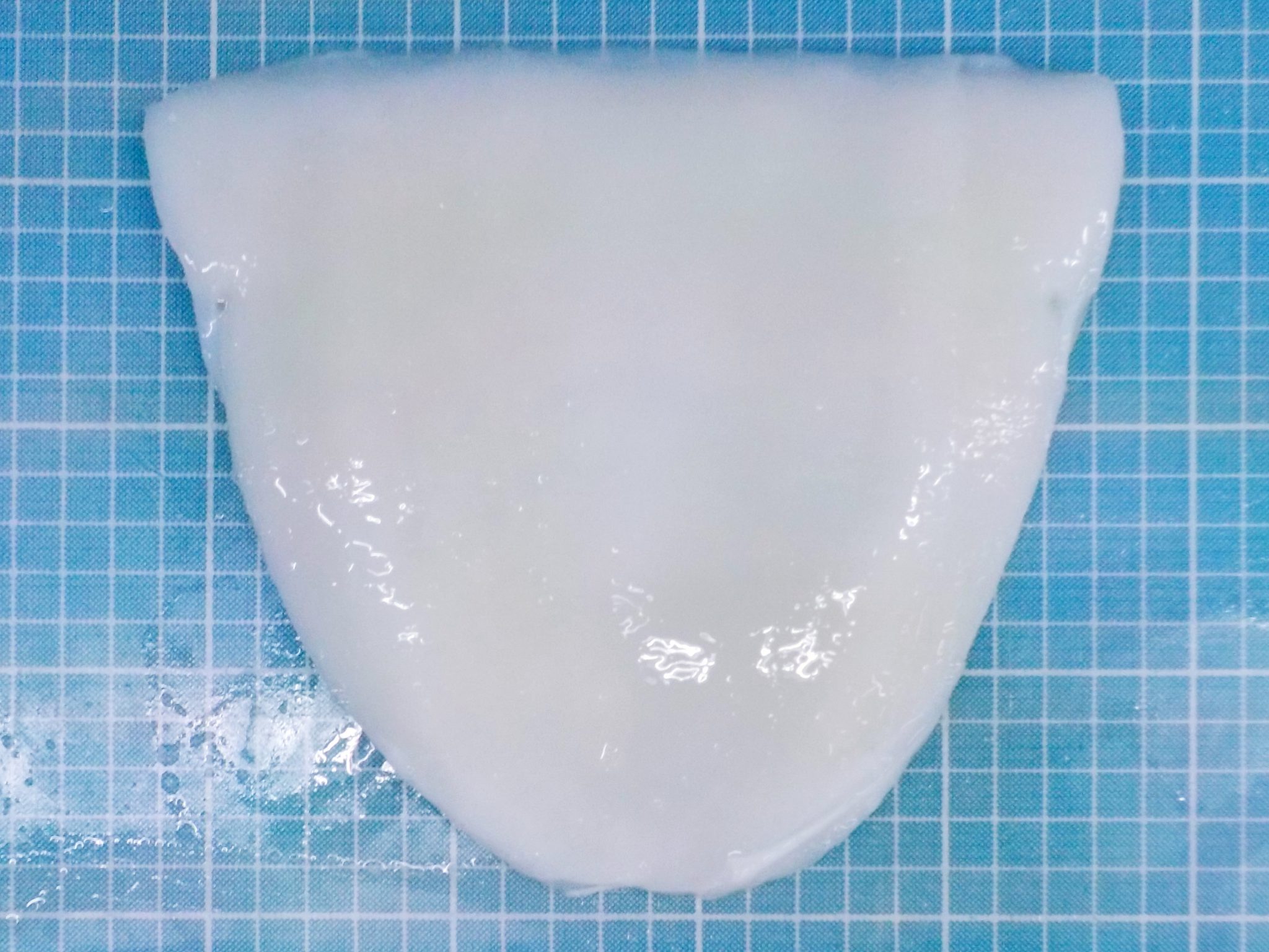 Cuttlefish Fillet - Ranong Frozen Foods Co.,LTD.