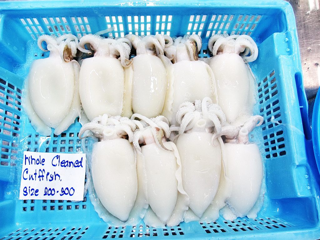 Cuttlefish Whole clean Big size - Ranong Frozen Foods Co.,LTD.