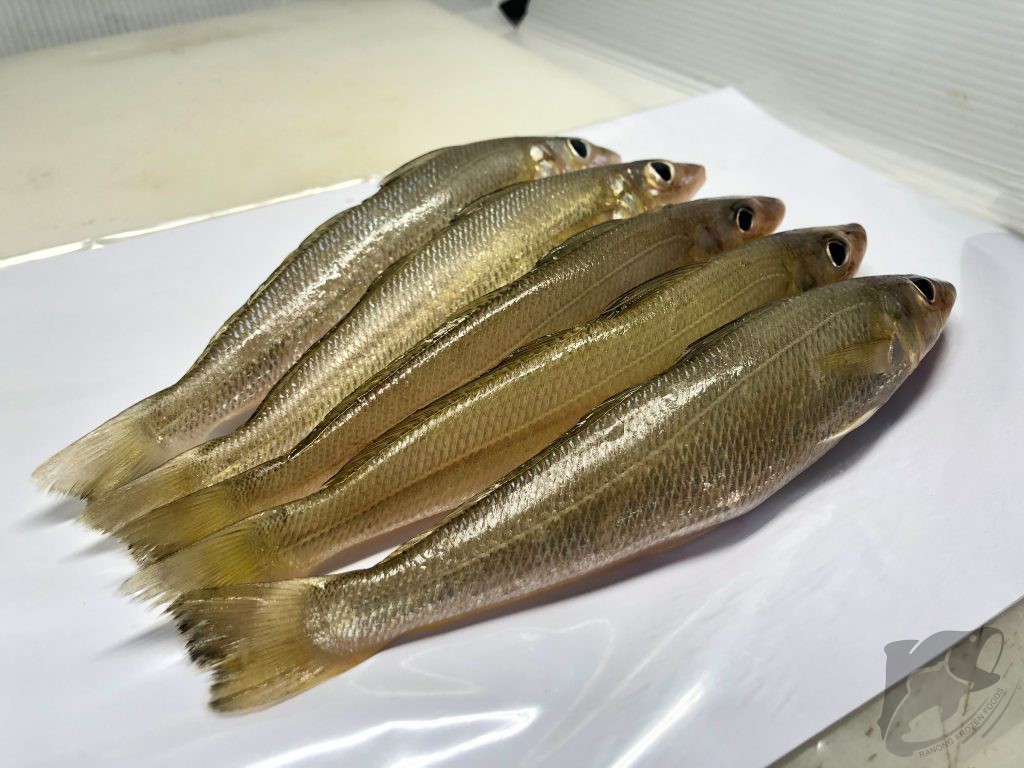 KISU HIRAKI - Ranong Frozen Foods Co.,LTD.