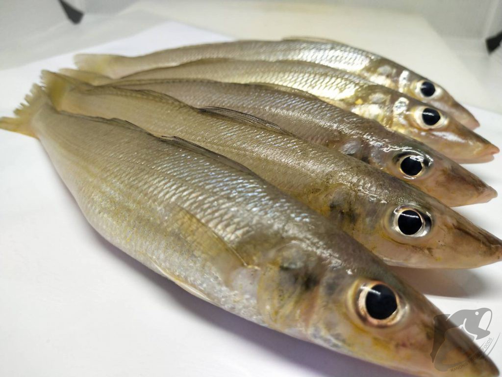 KISU HIRAKI - Ranong Frozen Foods Co.,LTD.