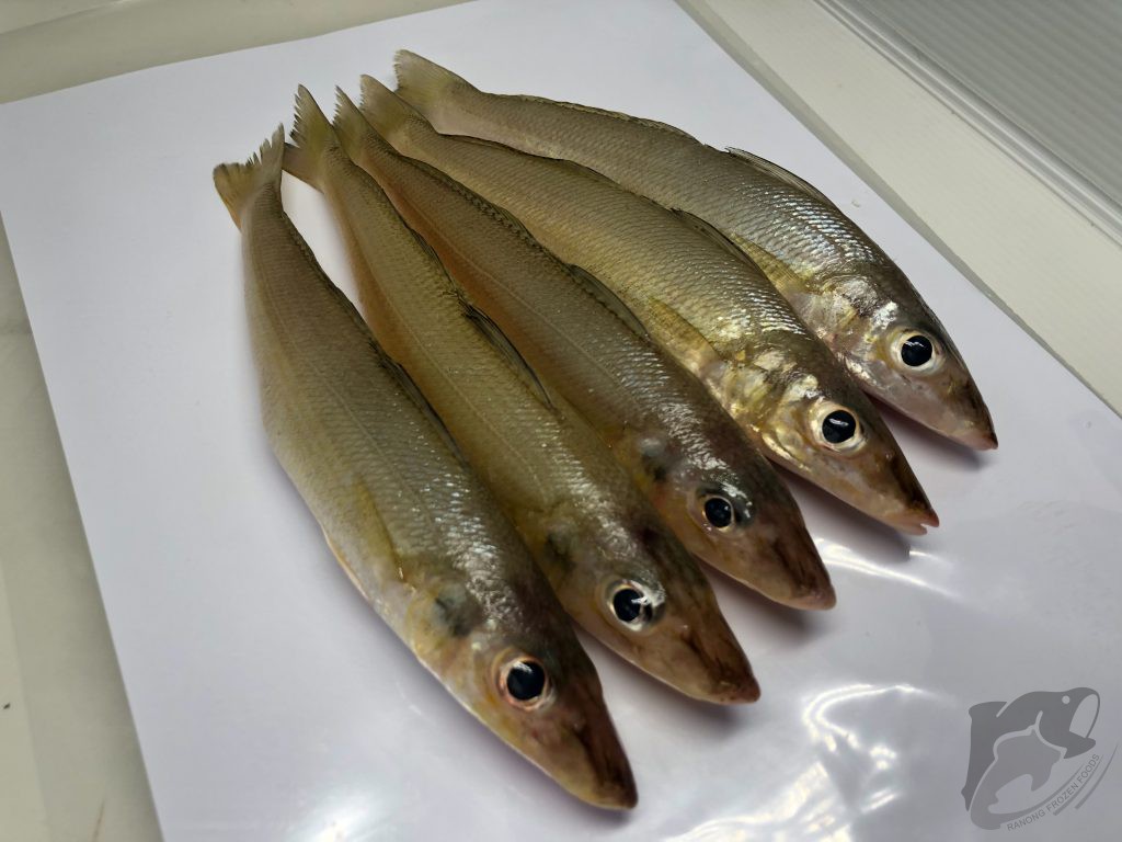 KISU HIRAKI - Ranong Frozen Foods Co.,LTD.