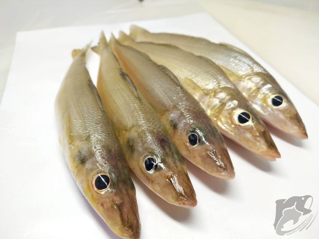 KISU HIRAKI - Ranong Frozen Foods Co.,LTD.